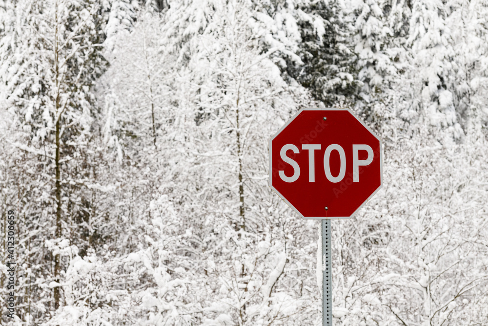 Red stop sign against snow covered trees offers a reminder of the ...