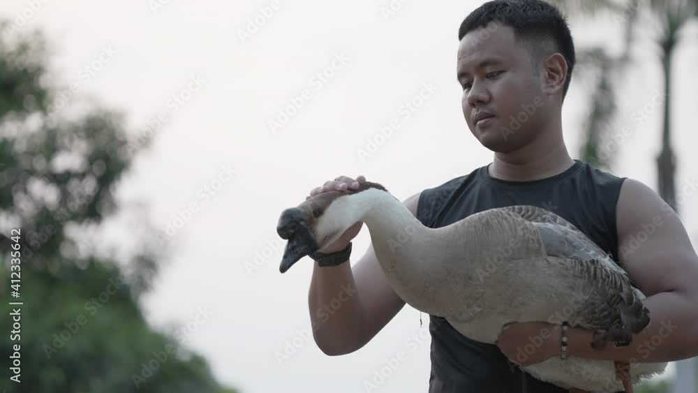 Vidéo Stock slow motion shot, young man farmer holding swan goose in ...