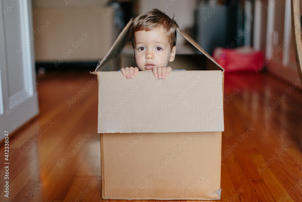 Cute young boy playing with a cardboard box Stock Photo | Adobe Stock