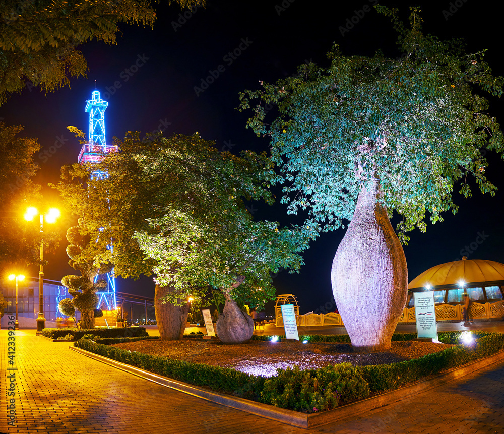 Baobab trees in Milli Park of Baku, Azerbaijan Stock Photo | Adobe Stock
