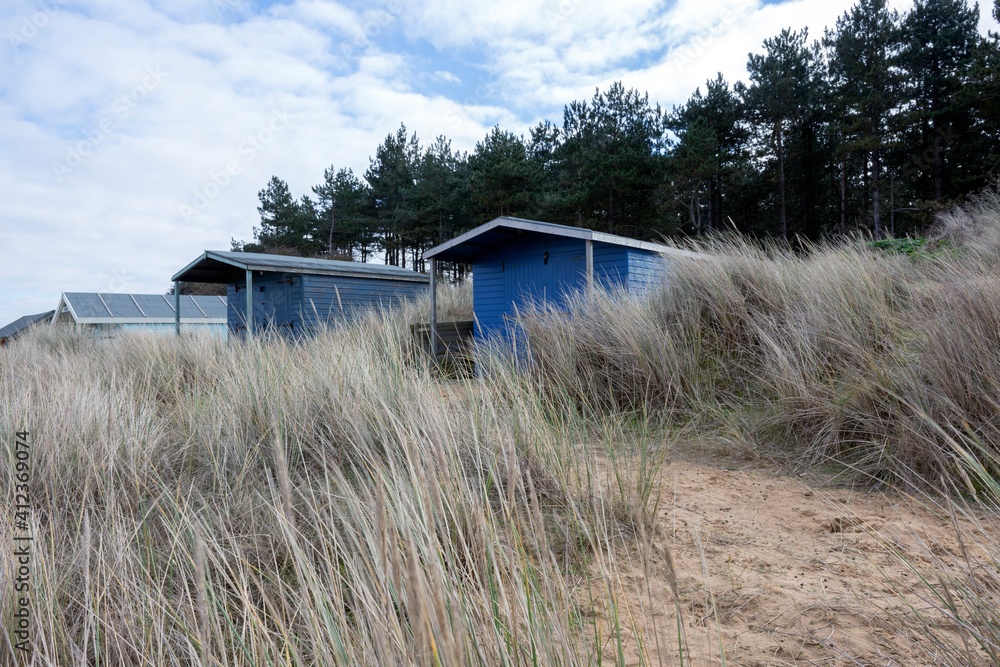 Beach huts in sand dunes set amongst tall beach grass and evergreen ...