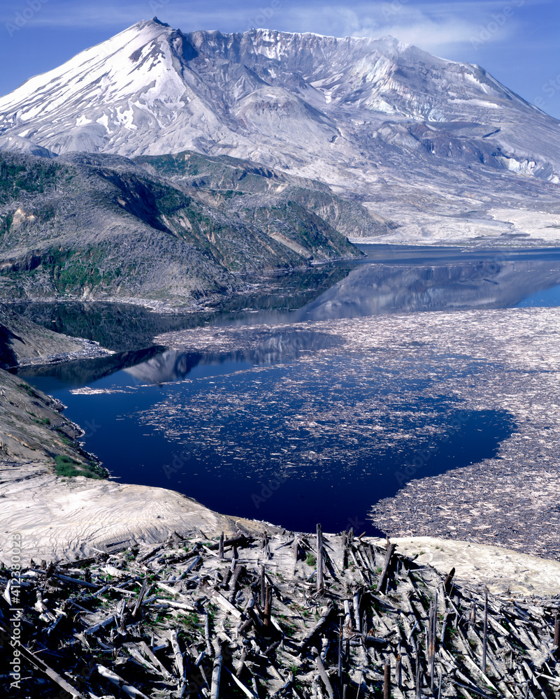 Aftermath of the eruption of Mount St. Helens in Washington showing the ...