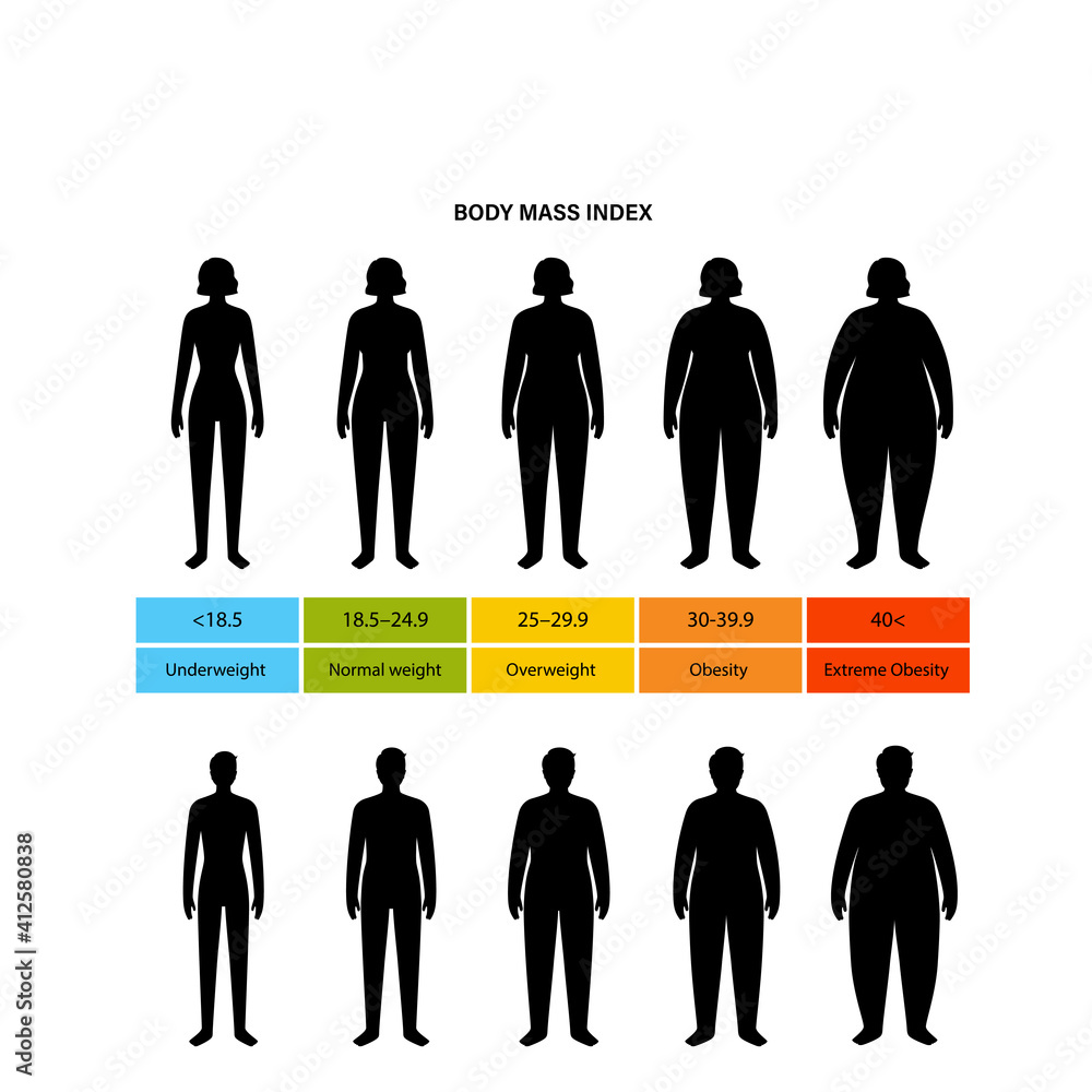 Body mass index Stock Vector | Adobe Stock
