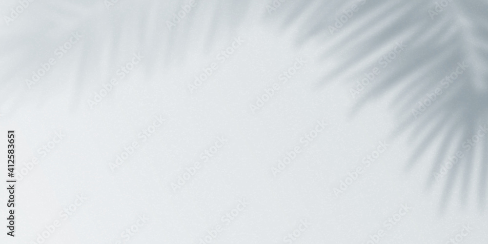 Realistic tropical shadow overlay effect on concrete wall background ...