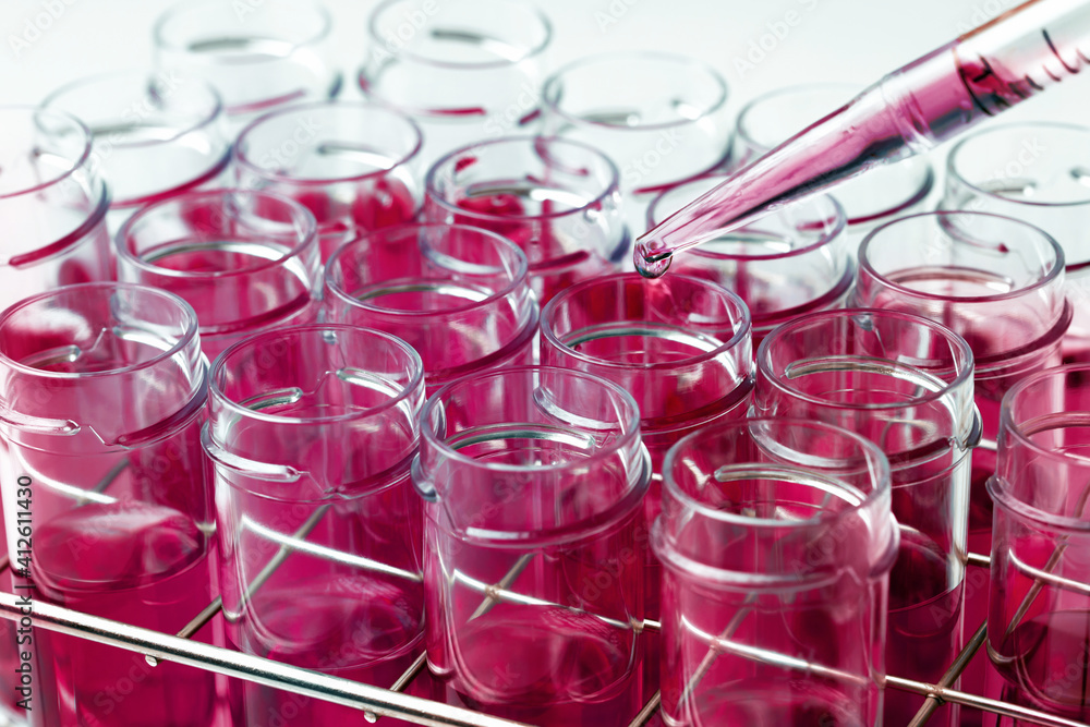 Researcher pipetting samples into test tubes in the microbiology ...