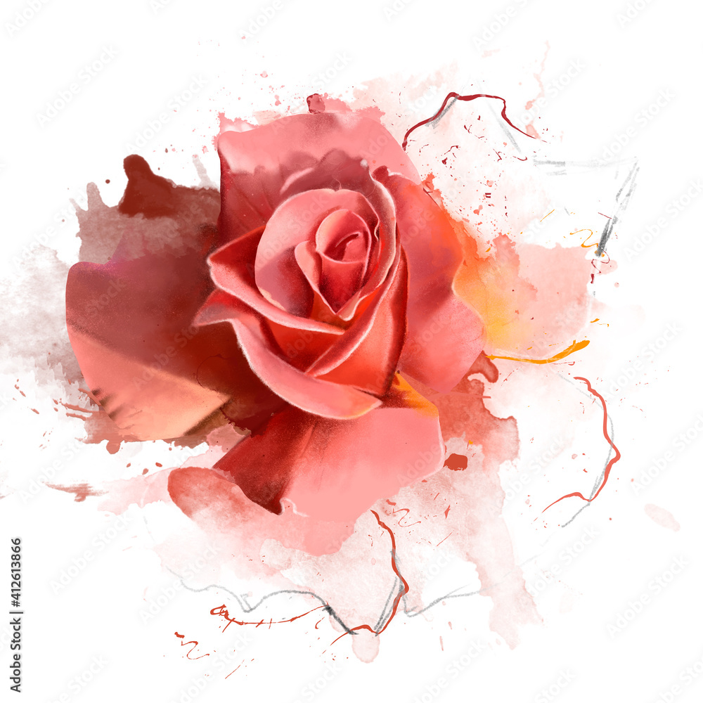 Beautiful soft rose color. Rose with paint splatter elements ...