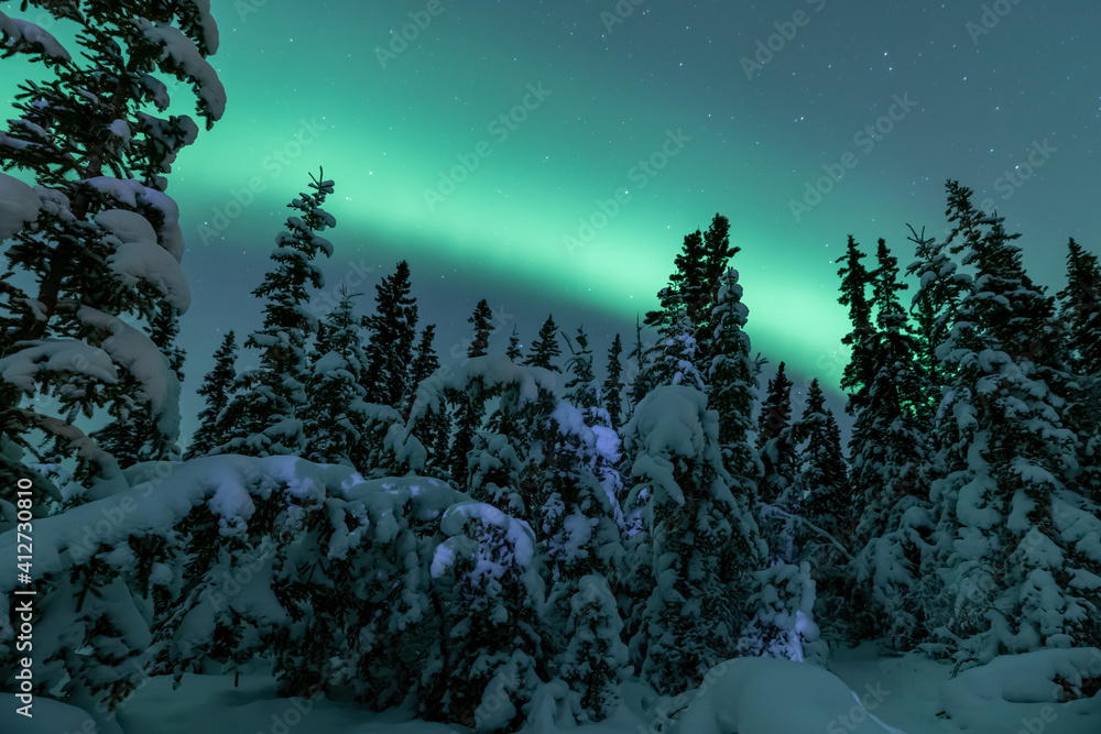 A stunning winter view of the northern lights, aurora borealis seen in ...