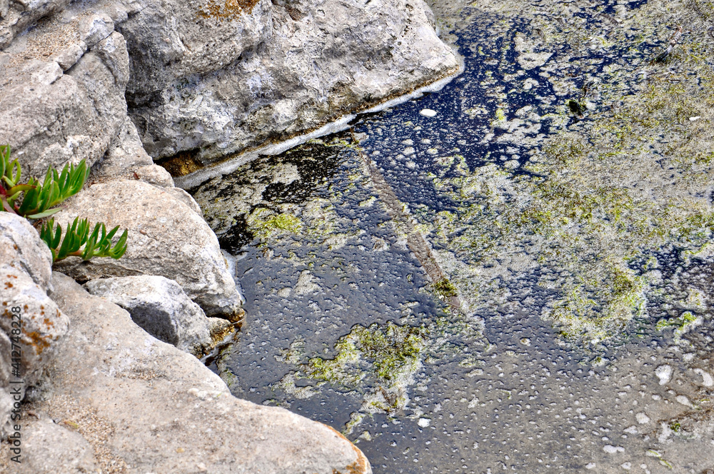 contaminated water Stock Photo | Adobe Stock