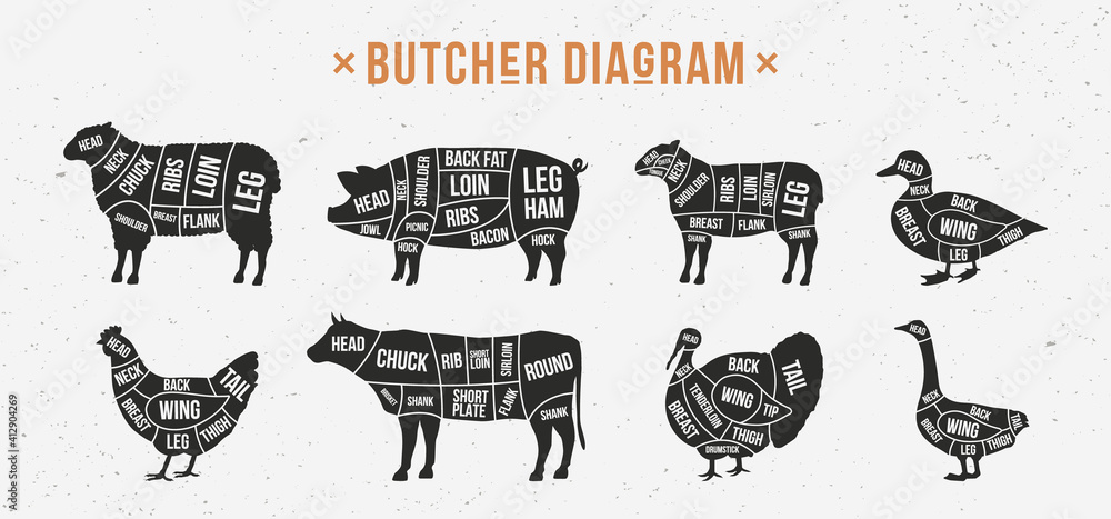 Butcher diagram, scheme set. Mutton, Lamb, Pork, Duck, Chicken, Turkey ...