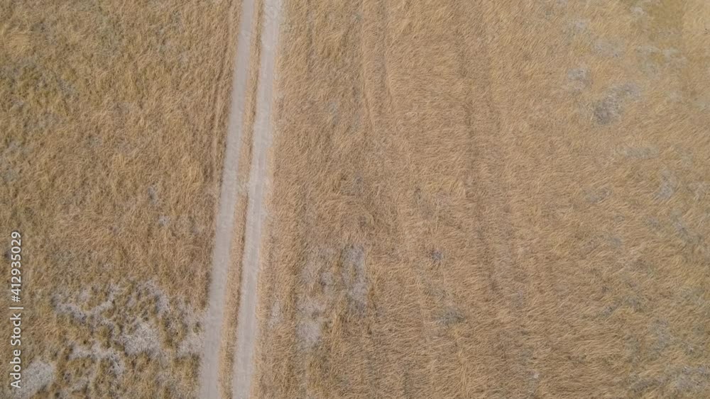 The thin two-track road on yellow grassland stretching to the horizon ...