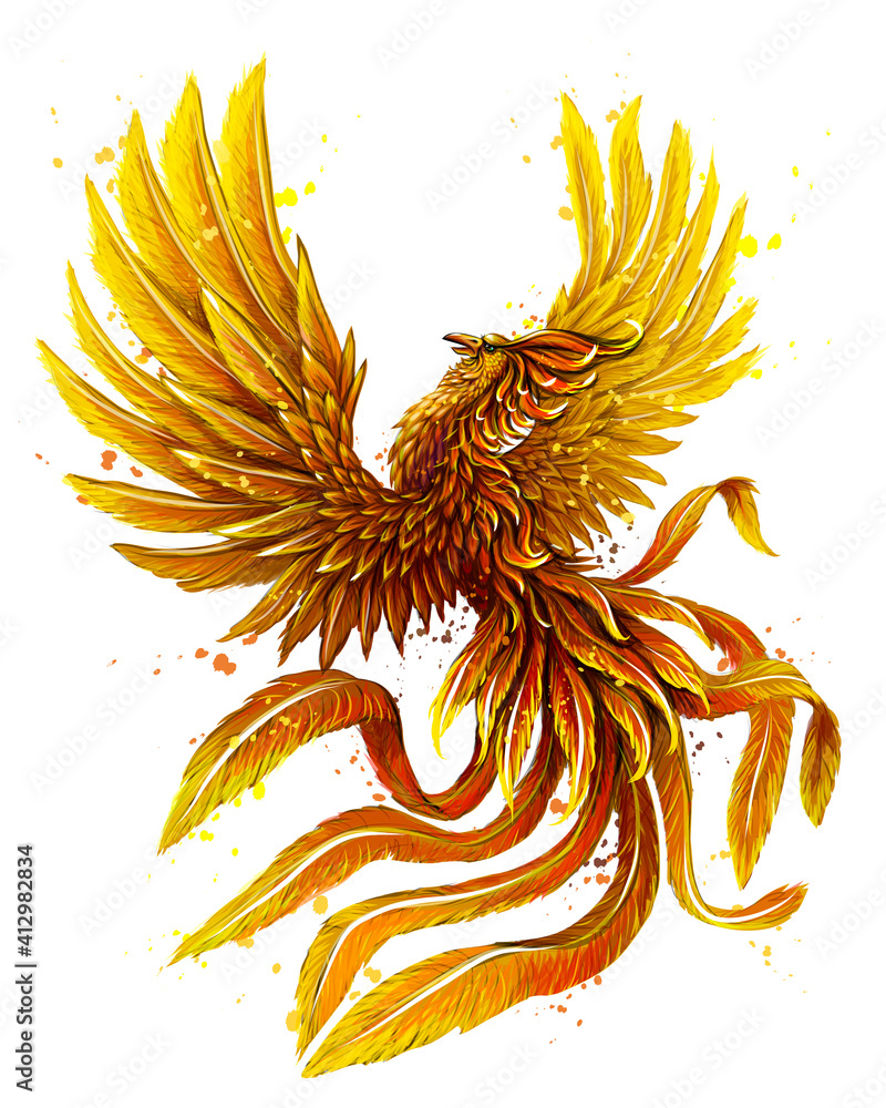 Phoenix. Color, graphic, digital drawing of the phoenix bird in ...