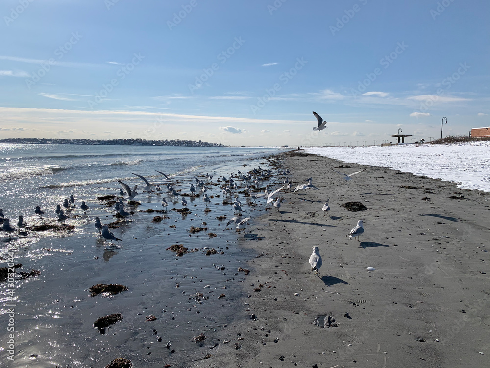 Vistas del camino y la playa nevados al borde del mar en un día soleado ...