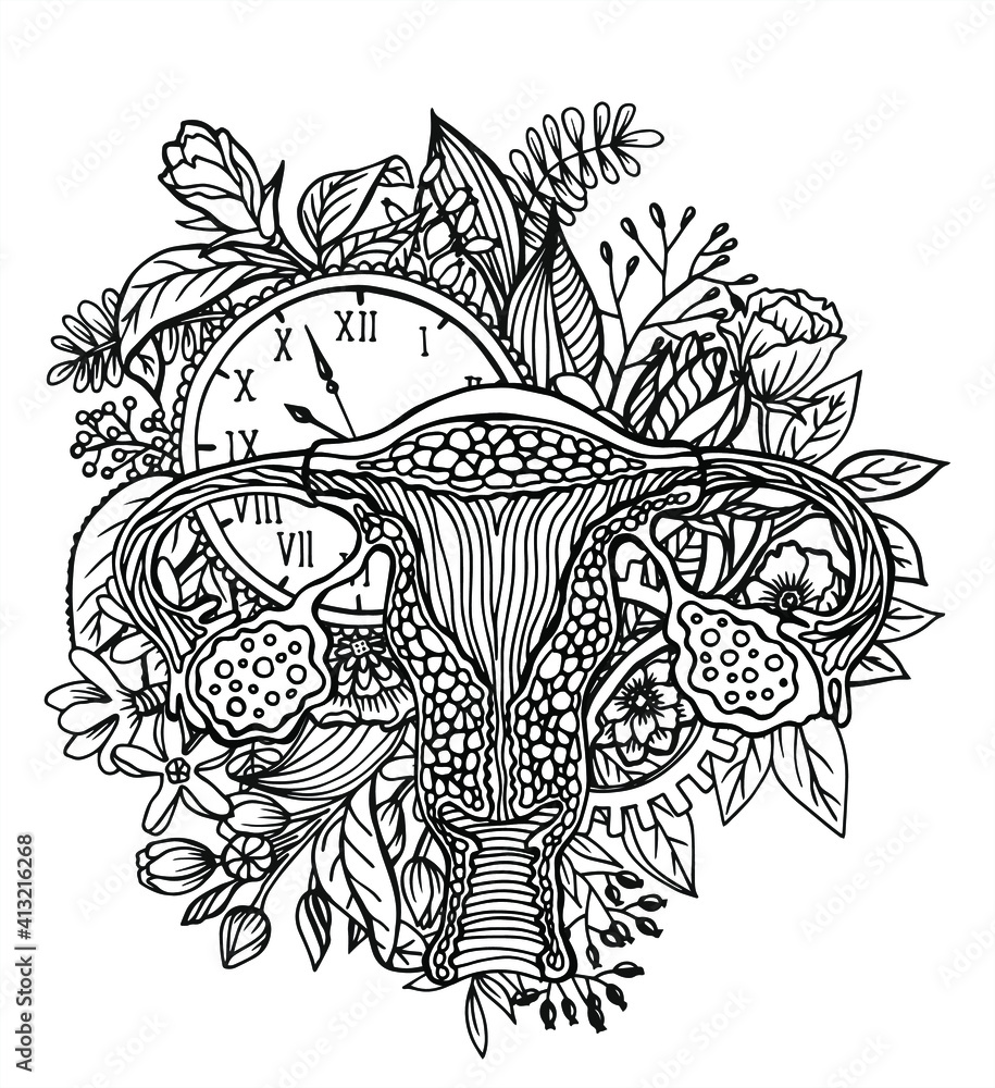 Vetor de Anatomically correct drawn female genitals. Uterus, vagina ...