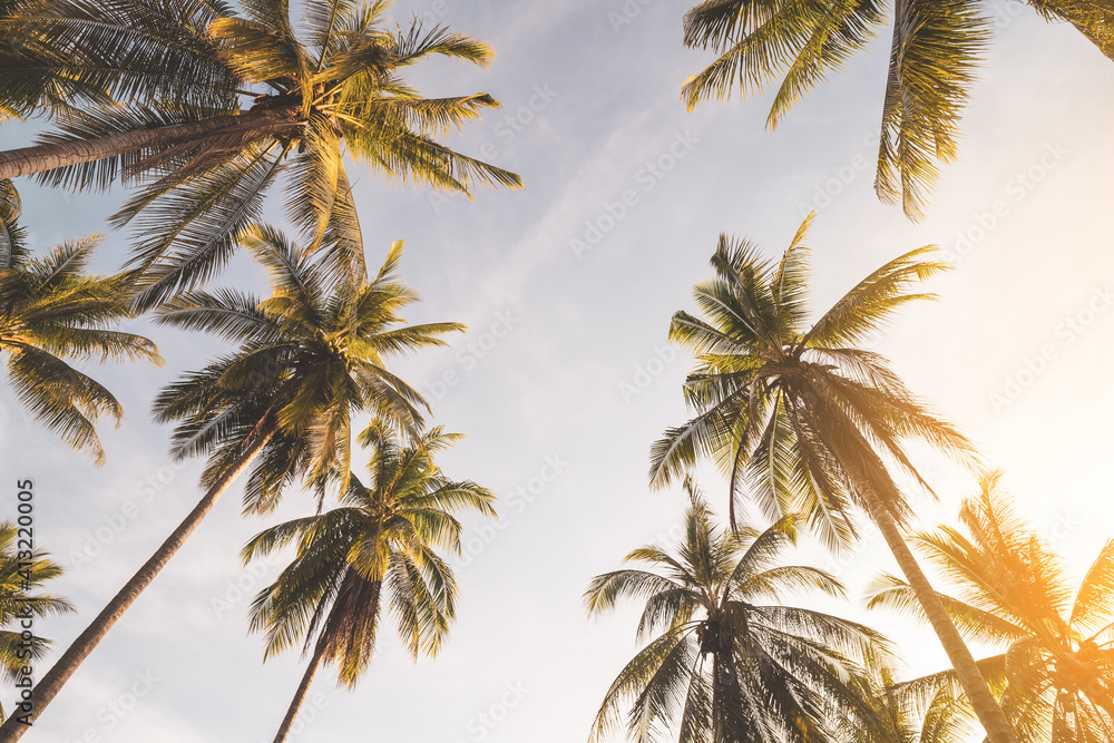 Copy space of tropical palm tree with sun light on sky background ...