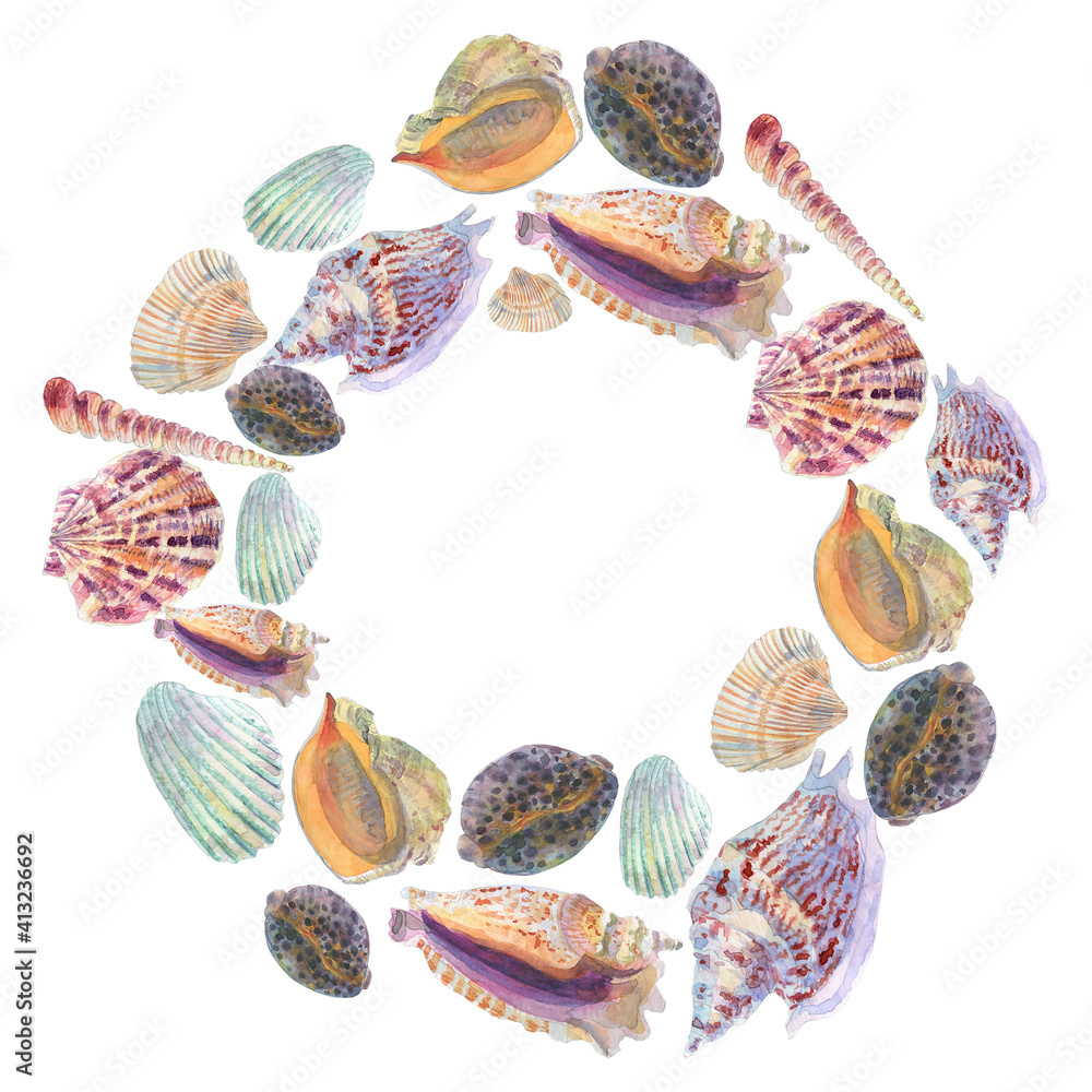 Watercolor frame sea shells on white background, Watercolor frame, sea ...