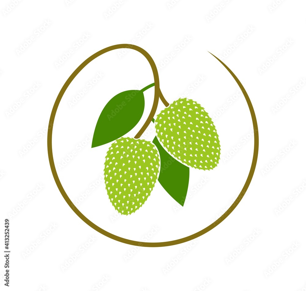 Soursop logo. Isolated soursop on white background Stock Vector | Adobe ...