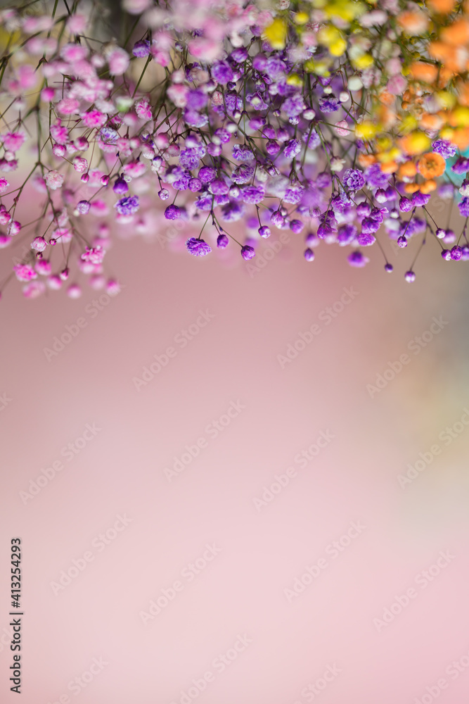 Nature of flower in garden using as cover page background natural flora ...