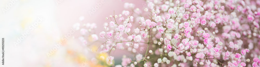 Nature of flower in garden using as cover page background natural flora ...