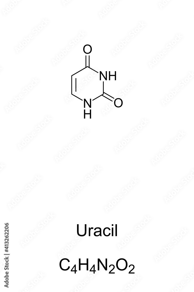 Vetor de Uracil, U, chemical formula and skeletal structure. Nucleobase ...