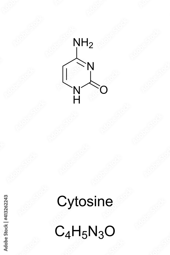 Cytosine, C, Cyt, chemical formula and skeletal structure. Nucleobase ...
