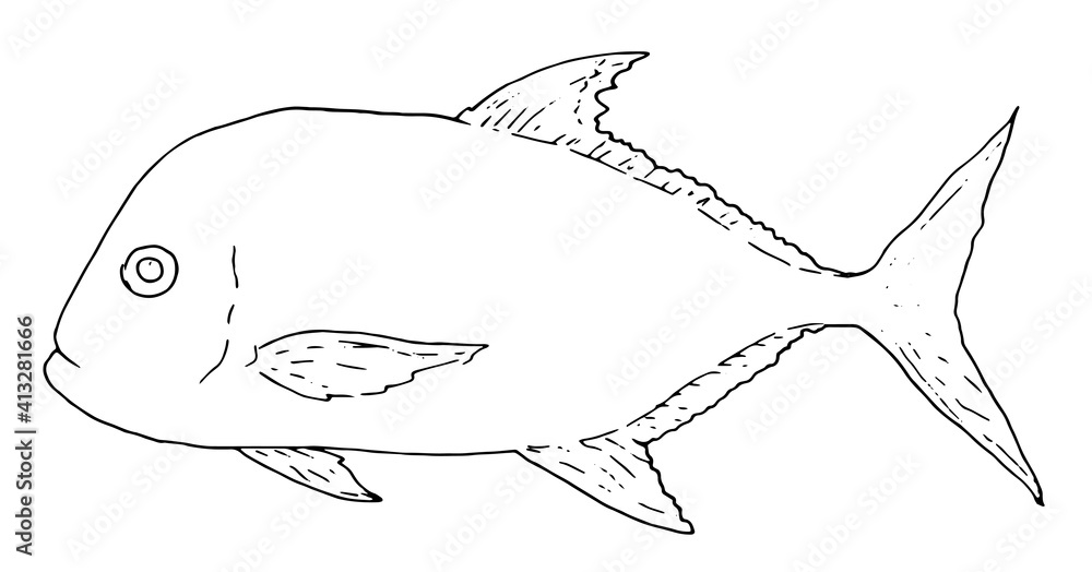 vector sea fish giant caranx black outline on white background ...