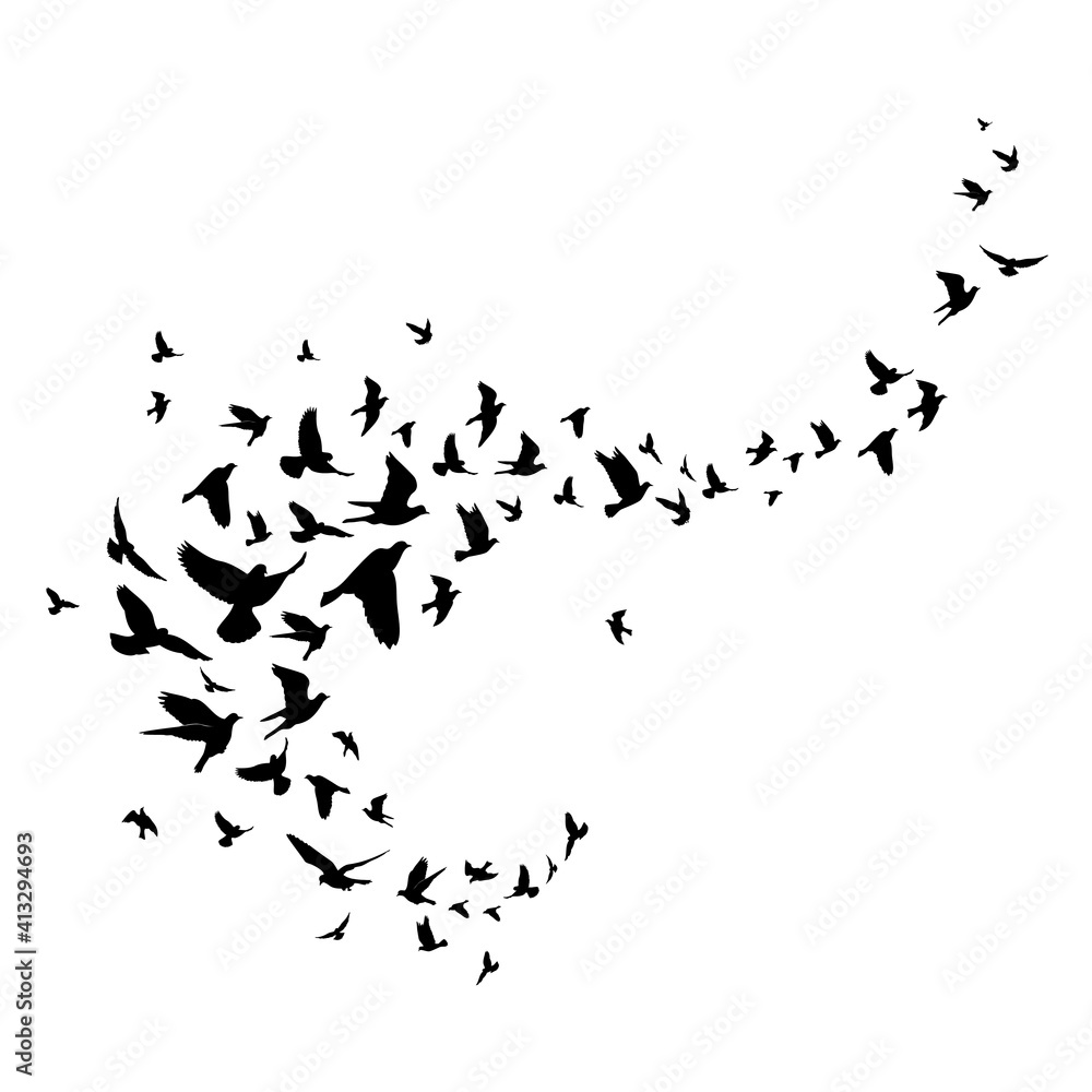 Flying birds silhouette illustration. Vector background Stock Vector ...