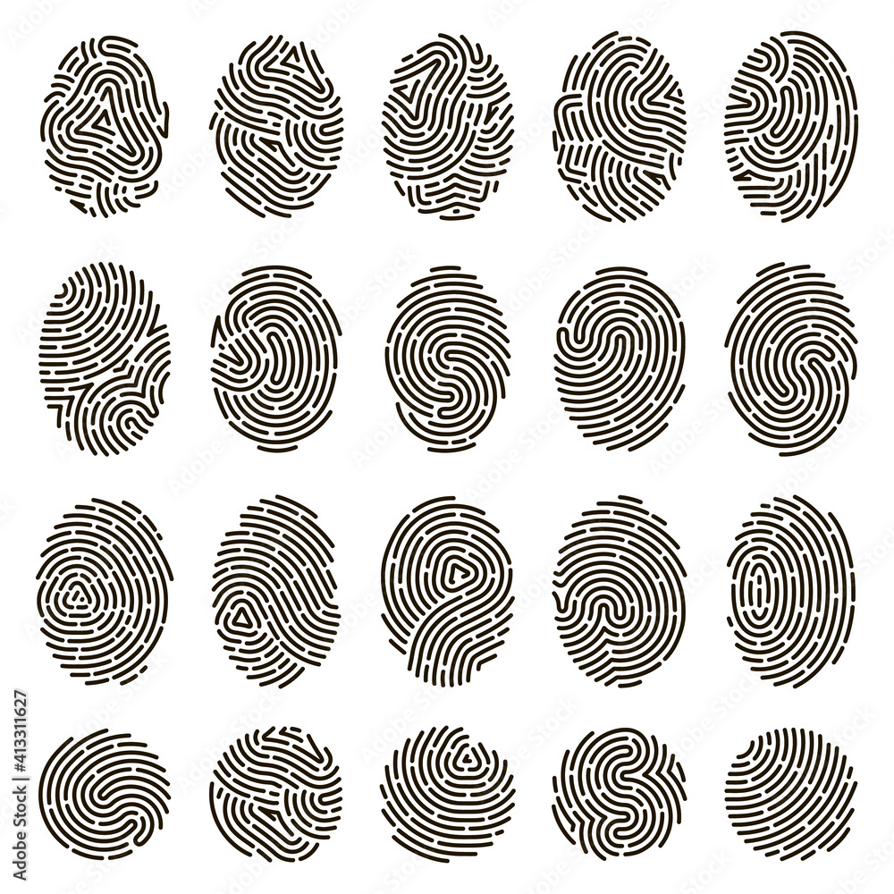 Fingerprint identification. Biometric human fingerprints, unique thumb ...