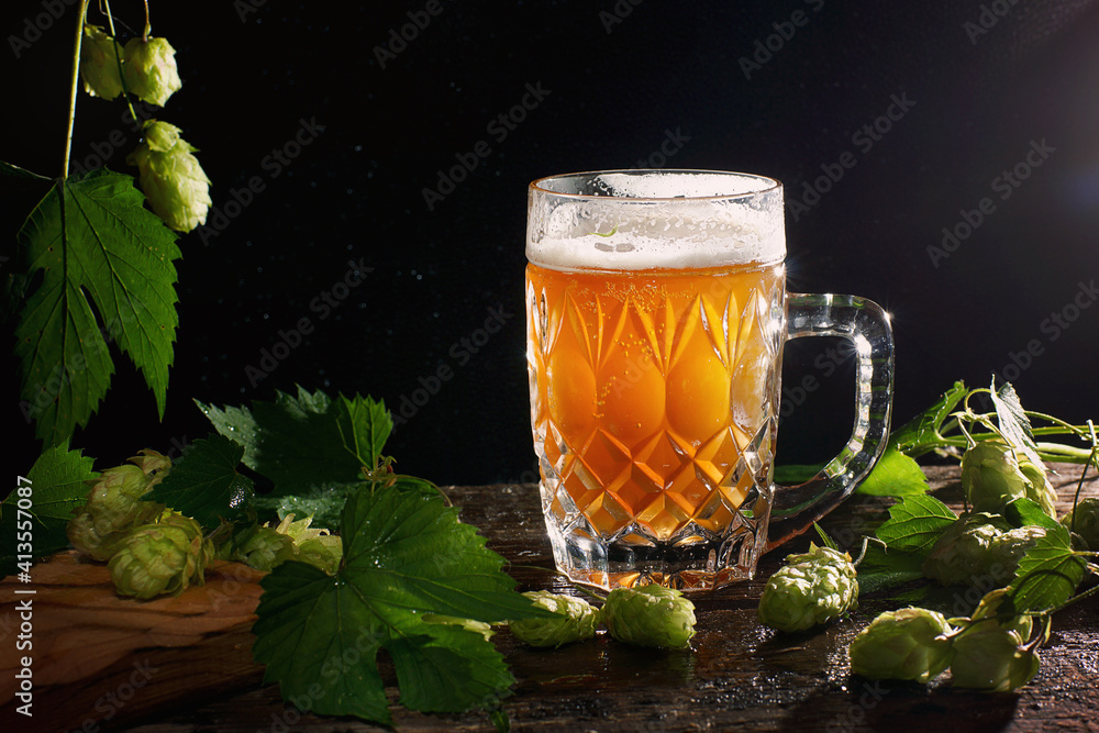 Fine yellow unfiltered beer in a transparent mug on a black background ...