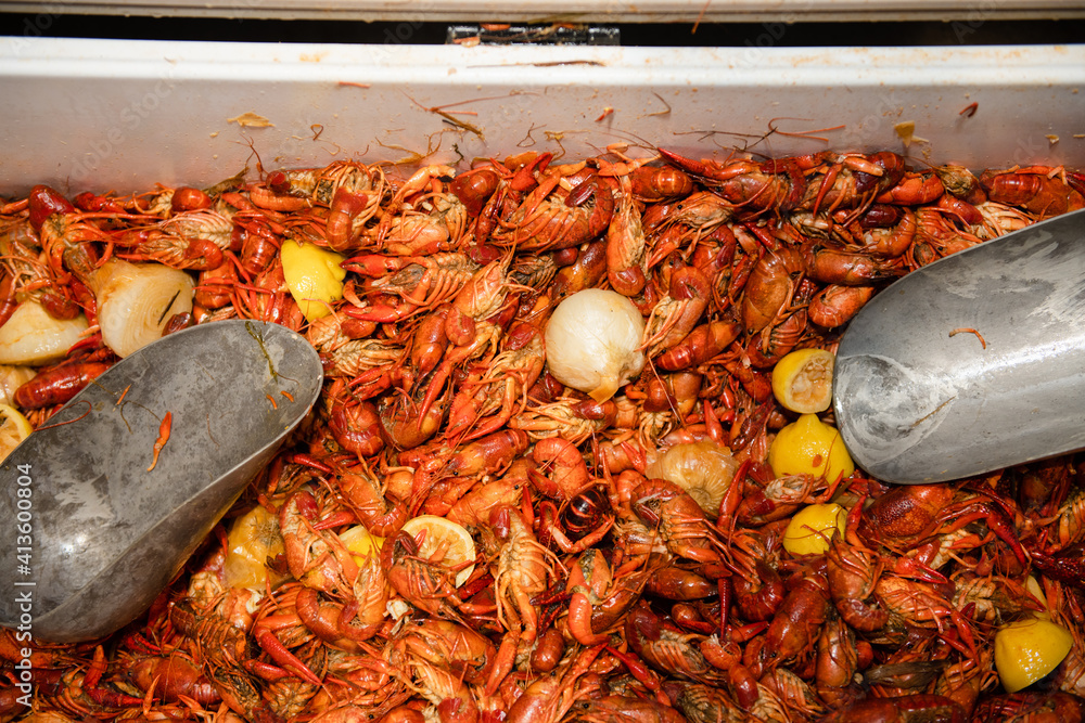 overhead closeup view of a large quantity of cooked crawfish ready to ...