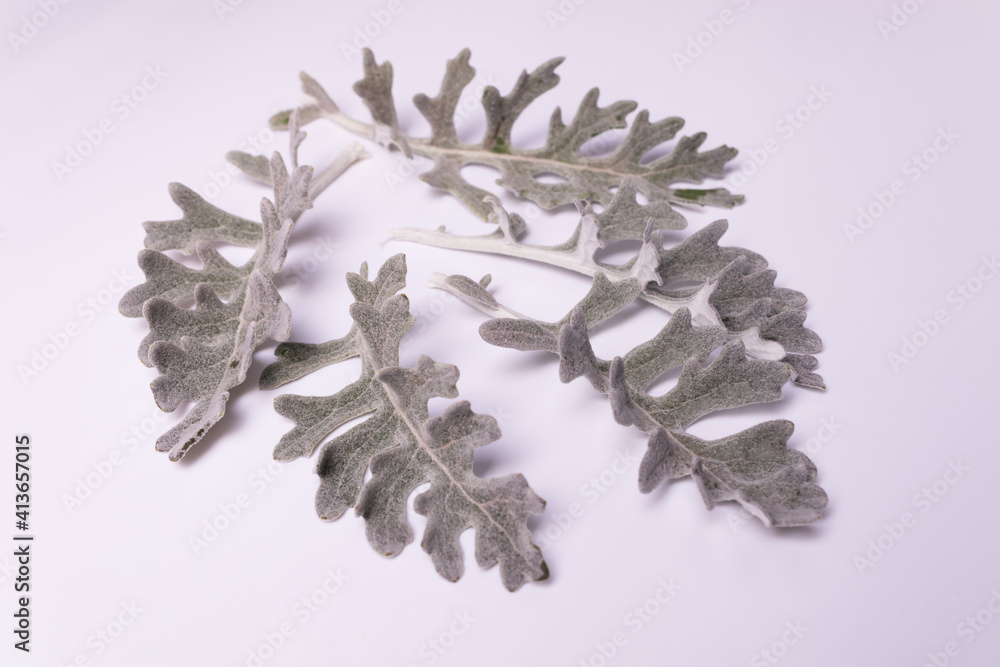 five white and gray sheets lie next to each other on a white surface ...