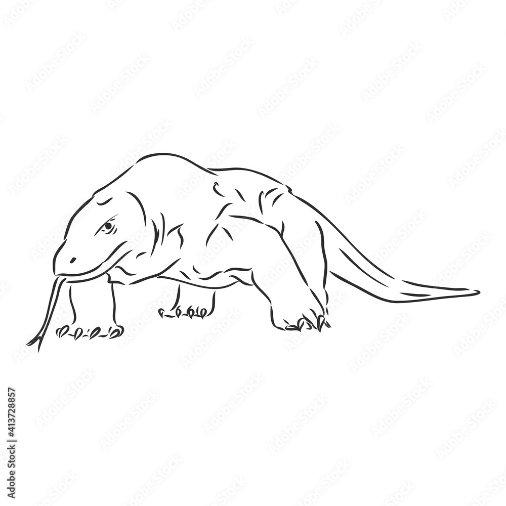 hand drawn, sketch illustration of Komodo dragon. varan vector sketch ...