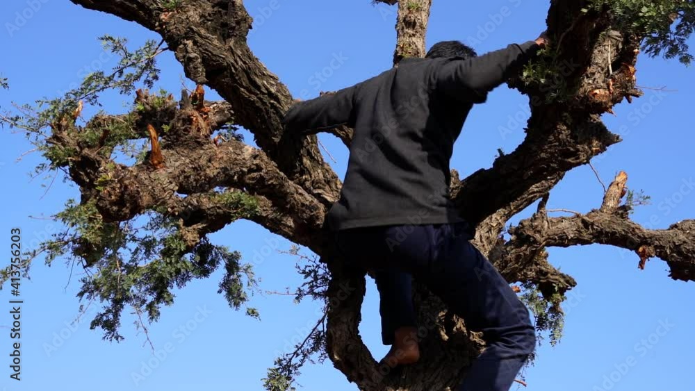 Young Inidan man teaching skill to climb on tree to his children ...