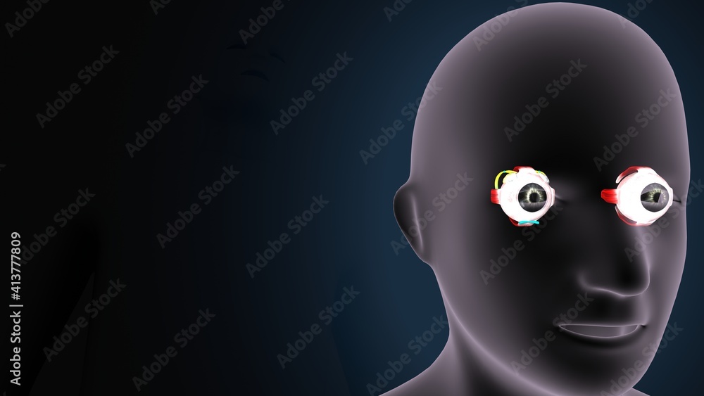 3d render of male human body eye anatomy. Stock Illustration | Adobe Stock
