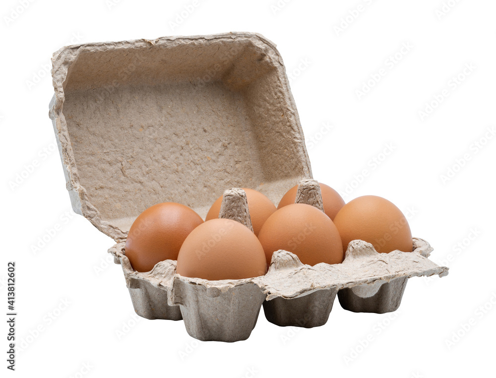 six eggs in egg carton side view isolated on white background with ...