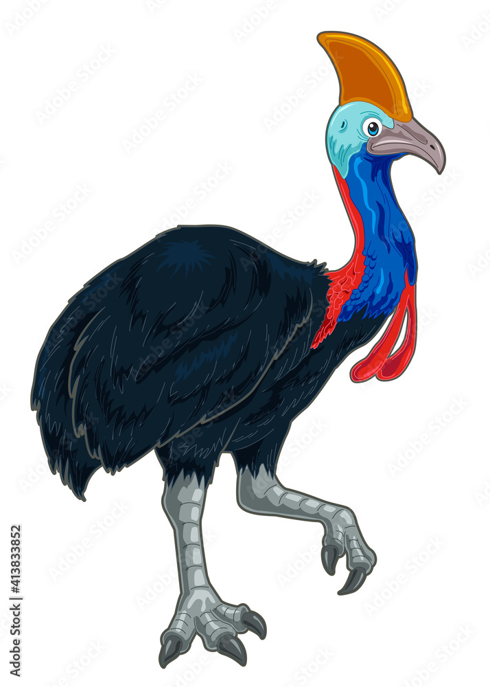 Cassowary cartoon illustration with colorful feathers Stock Vector ...
