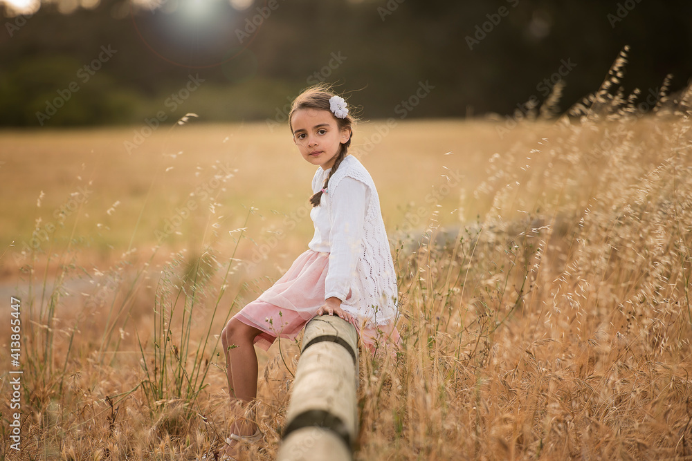 little girl wearing pink and white with braids sitting on wooden post ...