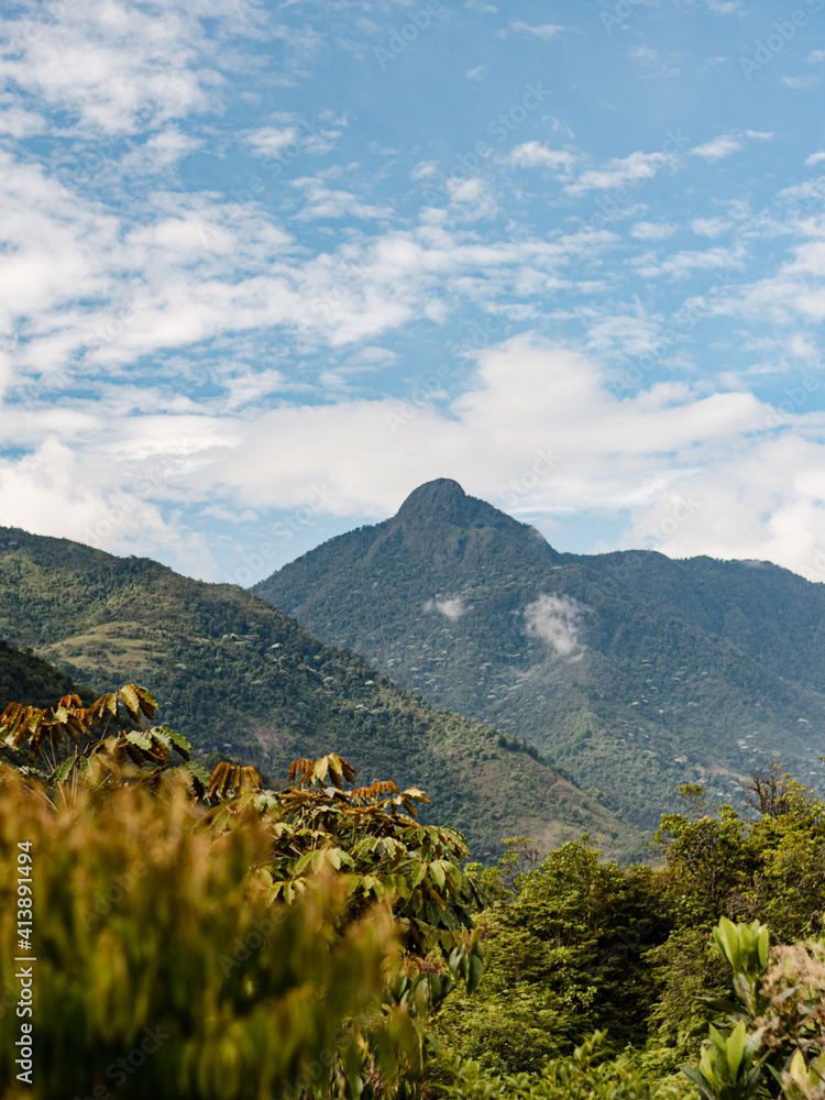 Pico de loro Stock Photo | Adobe Stock