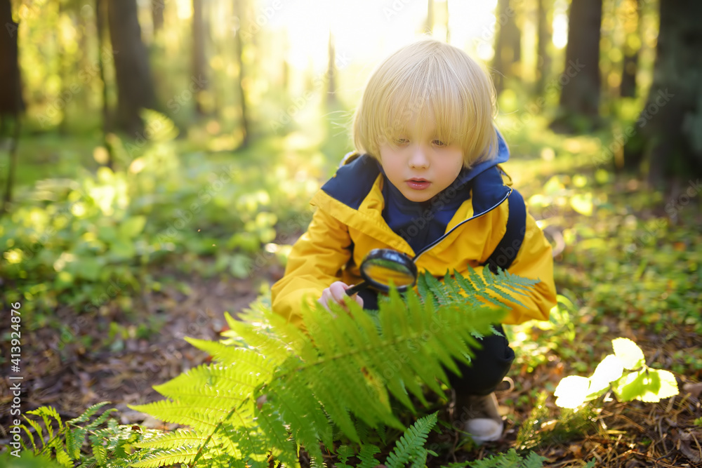 Preschooler boy is exploring nature with magnifying glass. Little child is looking on leaf of ...