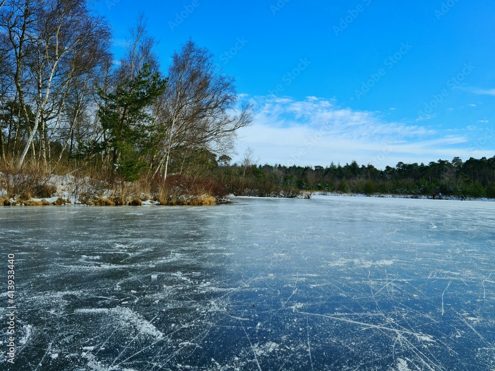 Frozen lake in the Oisterwijkse bossen en vennen in the Netherlands ...