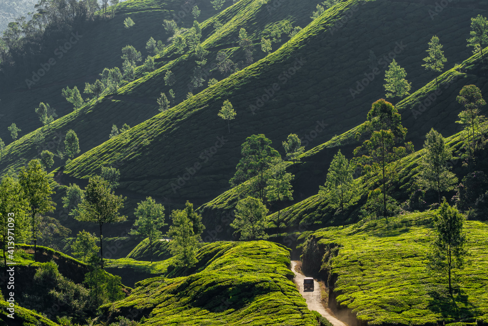 Tea plantations landscape with indian auto rickshaw driving through in ...