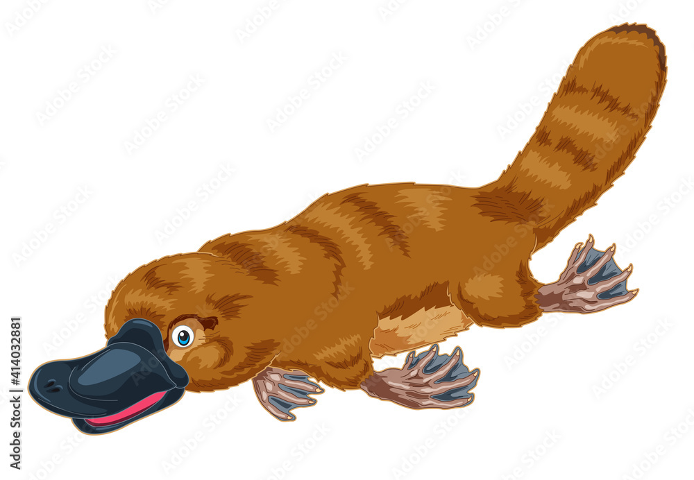 Platypus cartoon illustration brown coat Stock Vector | Adobe Stock
