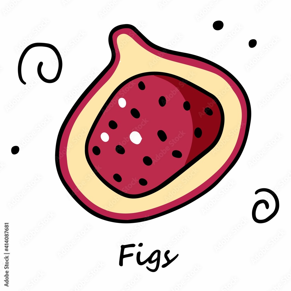 Cute fig in doodle style with outline. Doodle vector illustration. Fig ...