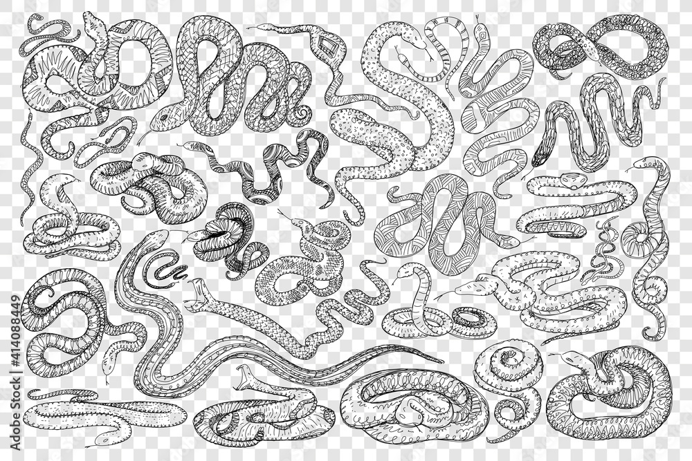 Various dangerous snakes doodle set. Collection of hand drawn wild ...