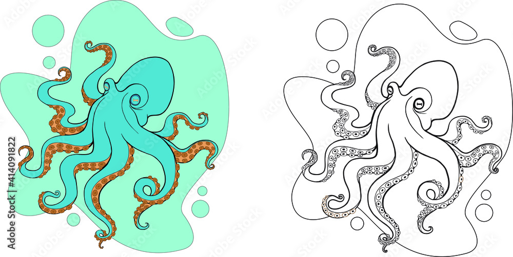 Coloring book page for children with colorful octopus and sketch to ...