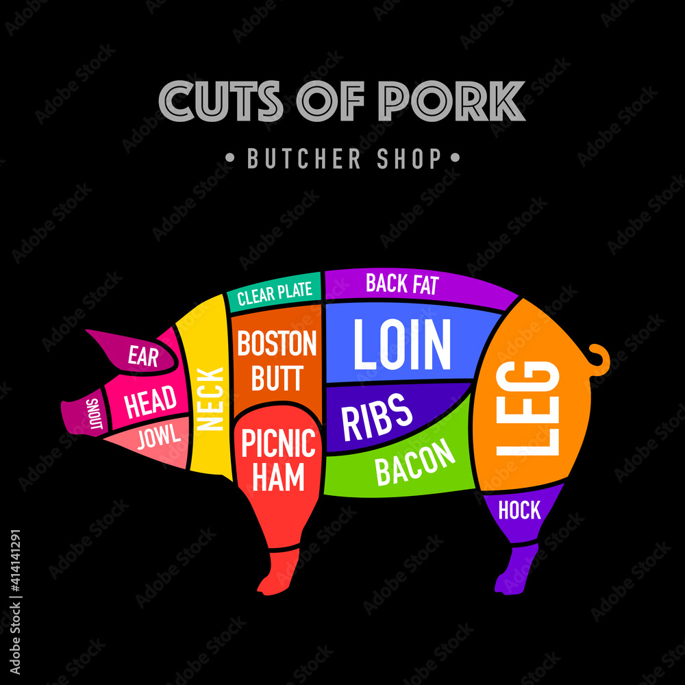 Cuts of Pork. Meat Diagram and Scheme. Poster for butcher shop. Vintage ...