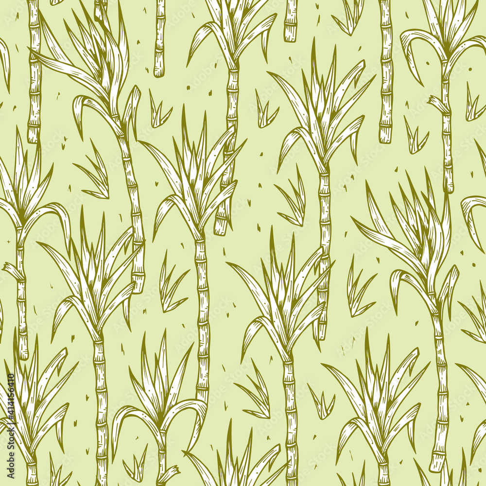 Hand Drawn Sugarcane Plants Vector Seamless Pattern. Sugar cane stalks ...