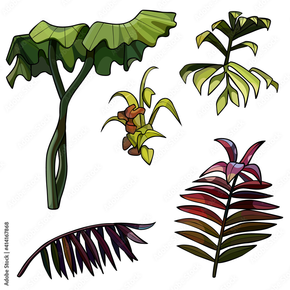 cartoon parts and separately leaves of tropical plants Stock Vector ...