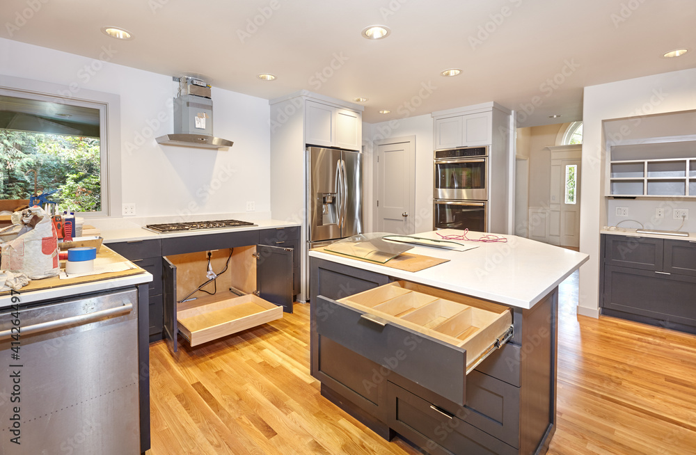Drawer inserts and pullout tray installed in custom kitchen cabinets ...