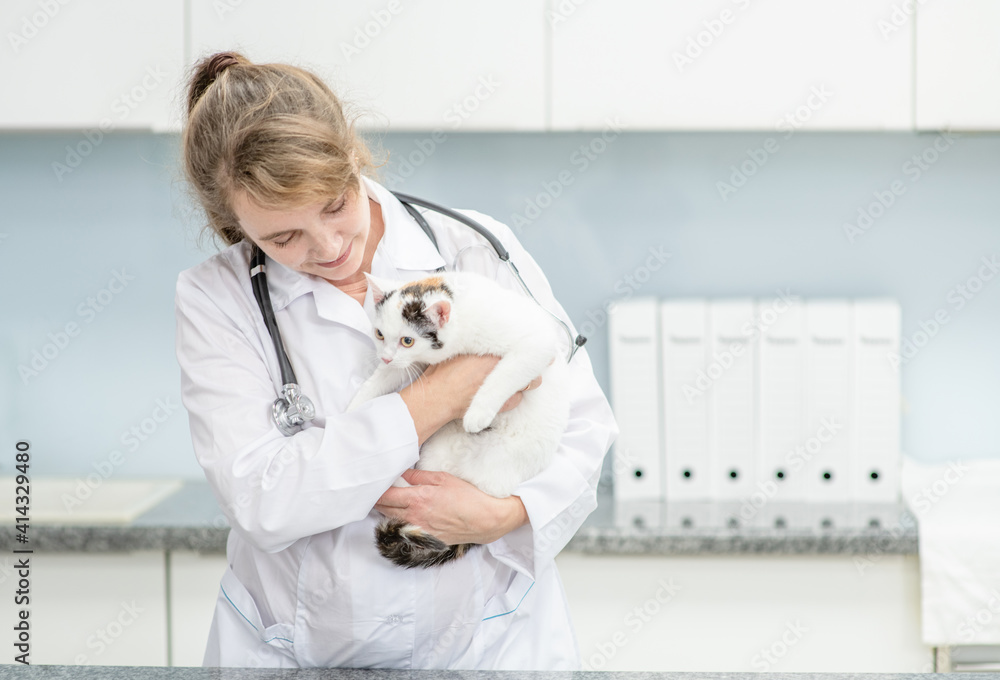 Vet hugs a cat at veterinary clinic. Empty space for text Stock Photo ...