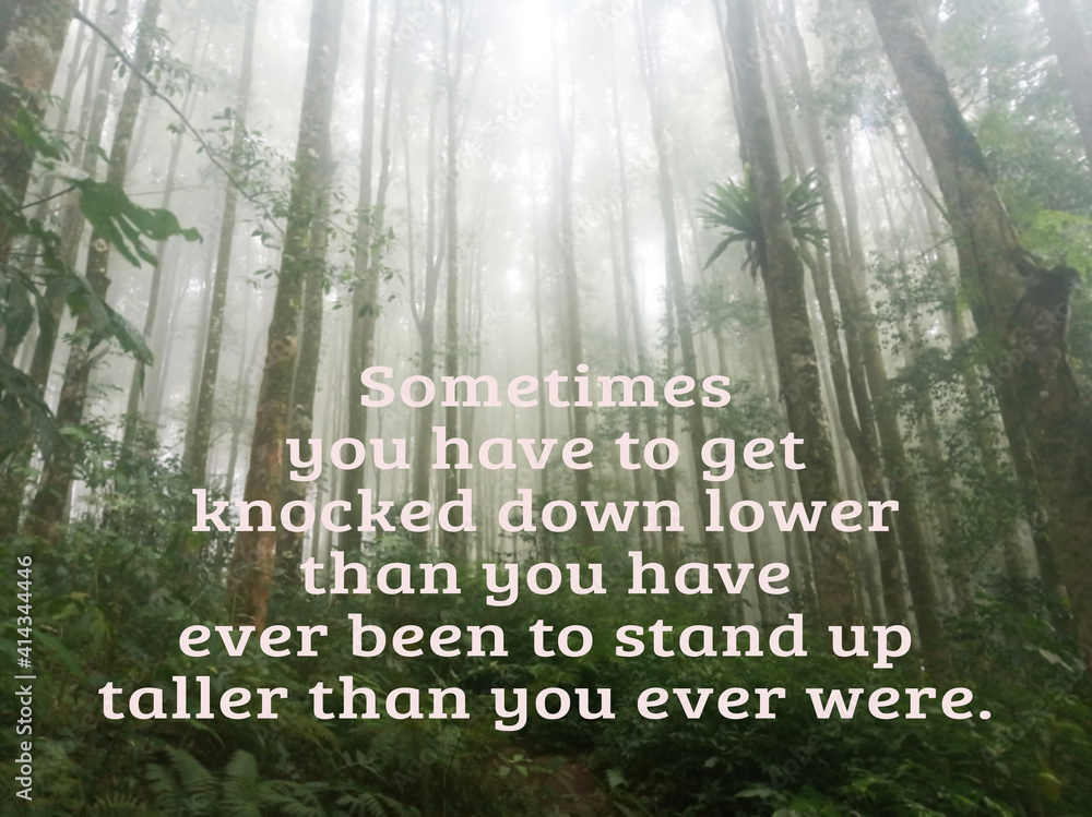 Inspirational quote - Sometimes you have to get knocked down lower than ...